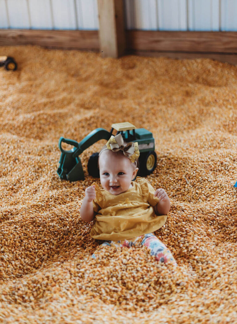 Corn Maze & Pumpkin Patch - Heartland Farms